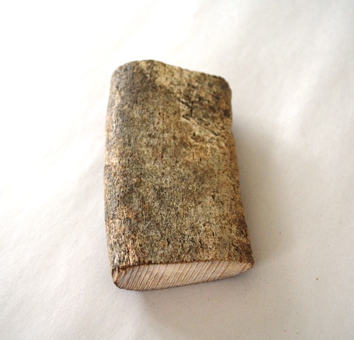 Fossilized Whale Bone